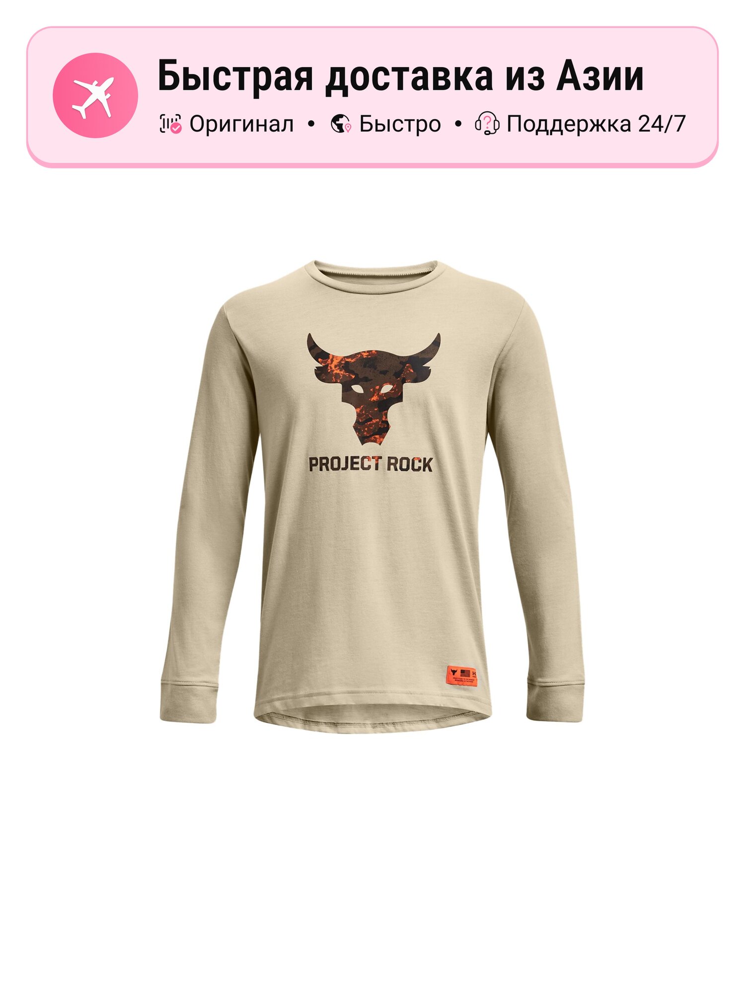 Футболка Under Armour Project Rock Veterans Day