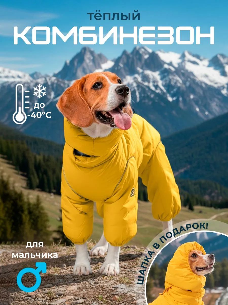 Шнурок Зимний комбинезон для собак (мальчик)