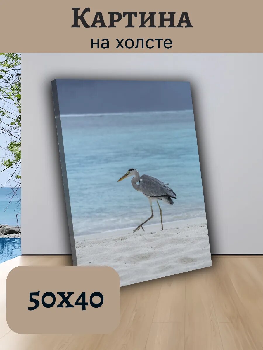 Картина Постер Мальдивы Maldives 40x50 серая цапля