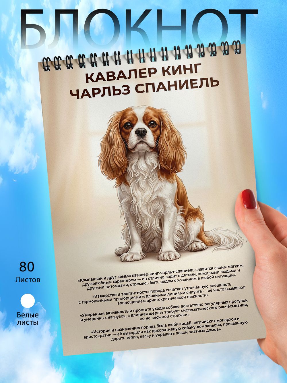 Блокнот А6 - Кавалер кинг чарльз спаниель