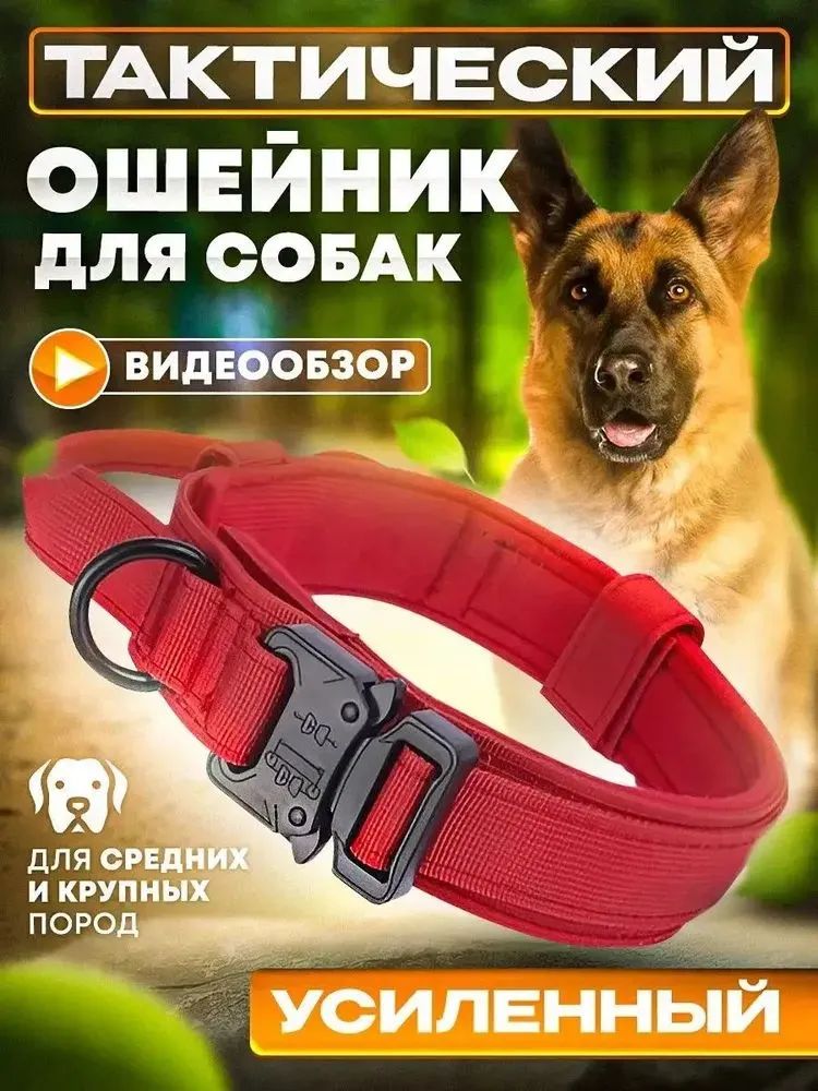 Тактический ошейник для собак, красный, усиленный, нейлоновый, для крупных пород, с блокируемым фастексом и D-кольцом