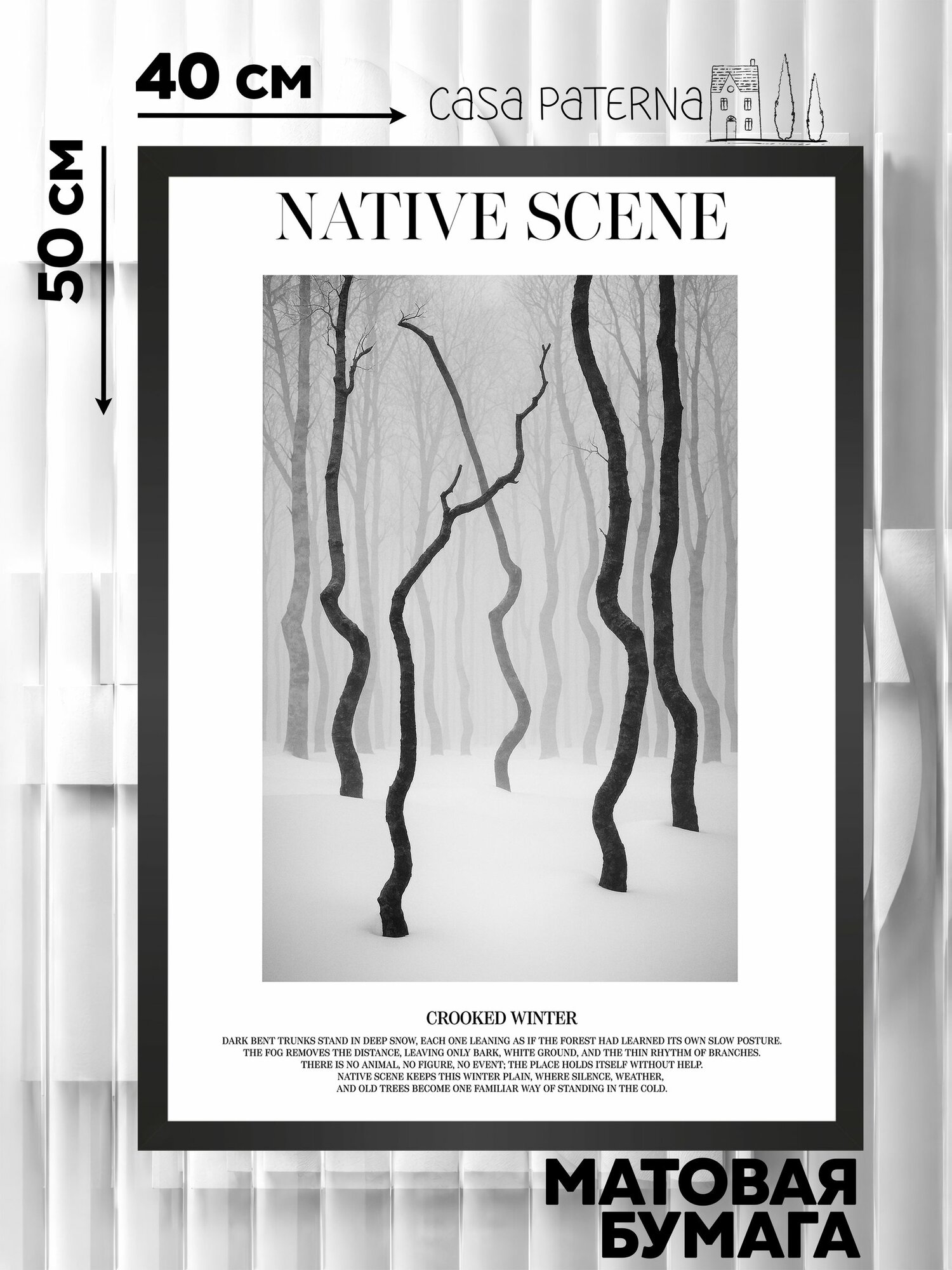 Постер на стену 40х50 Native Scene #51, черно-белая фотография для интерьера, чб без рамки Casa Paterna