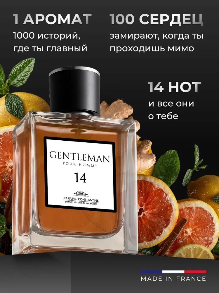 Духи мужские стойкие GENTLEMAN 14 древесные, фужерные 100 мл