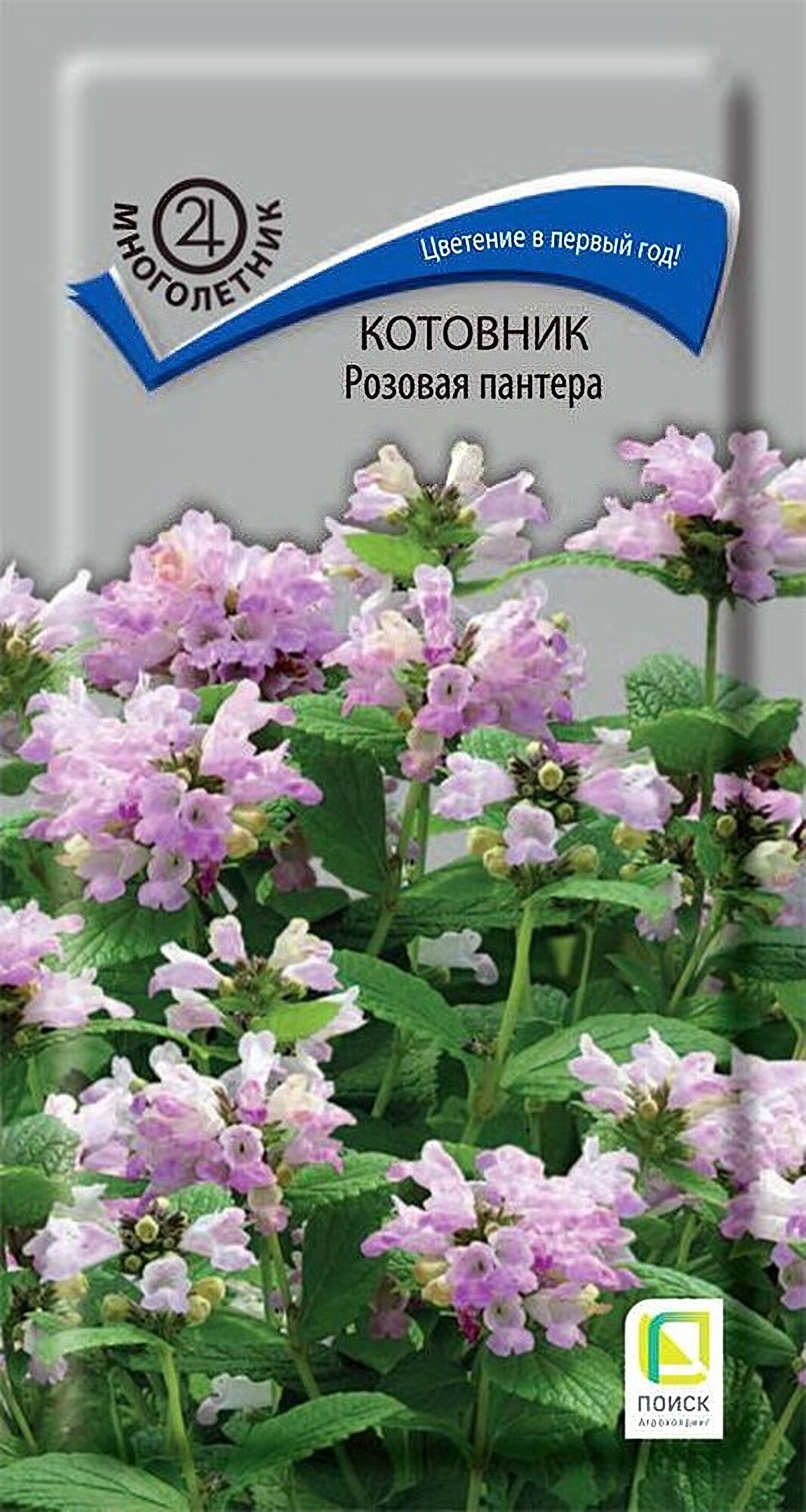 Семена Котовника поиск Розовая пантера 10 шт