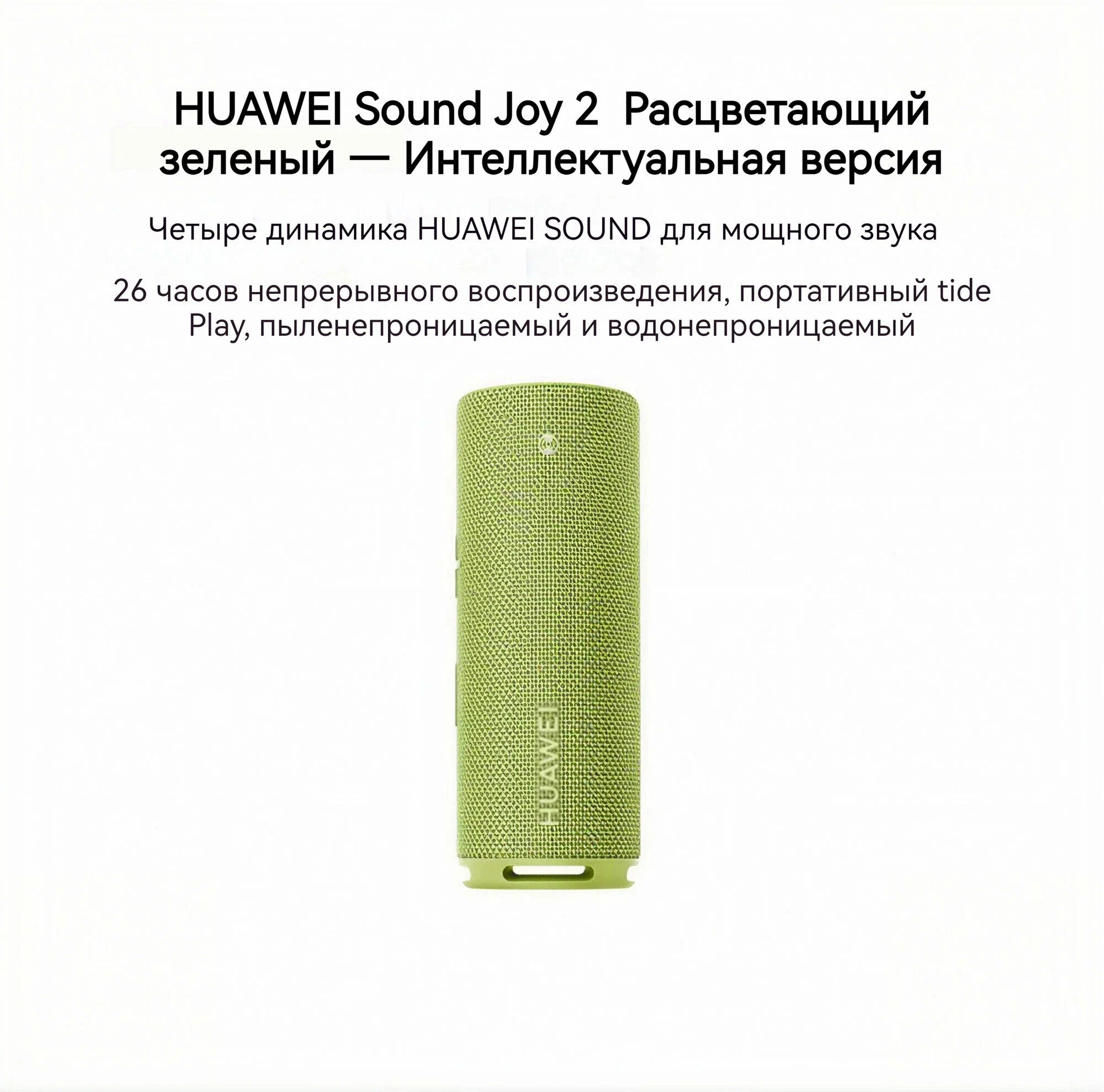 Беспроводная акустика HUAWEI Sound Joy 2 черный, серо-голубой EGRT-00 Интеллектуальная версия