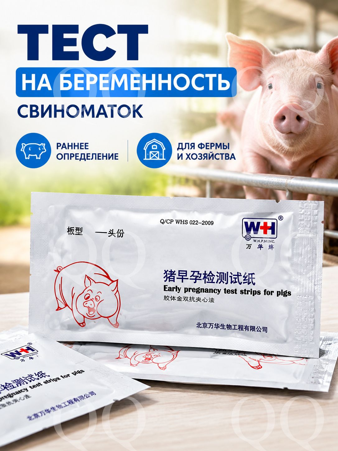 QQ Тест на беременность свиноматок для раннего определения супоросности, ветеринарная полоска для контроля репродуктивного стада для фермы и хозяйства