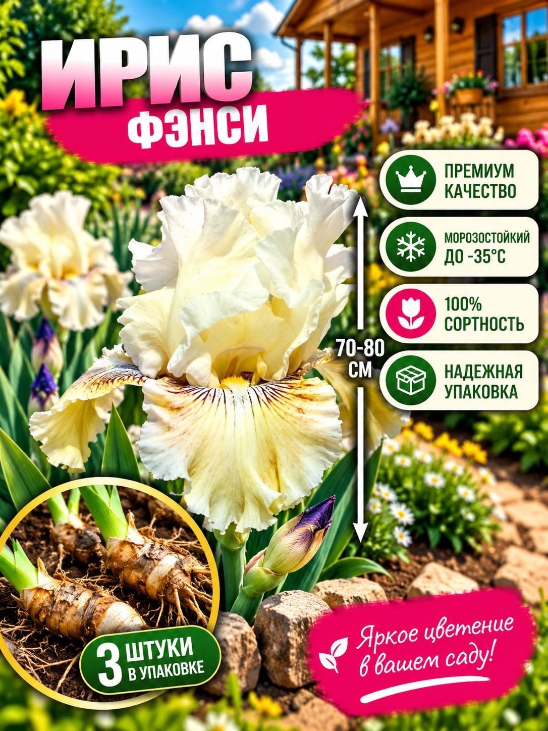 Ирис "Фэнси" корневище для посадки 3шт.