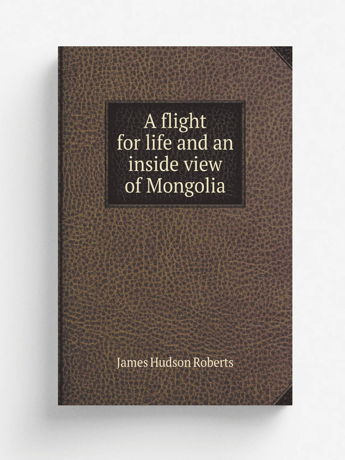 A flight for life and an inside view of Mongolia