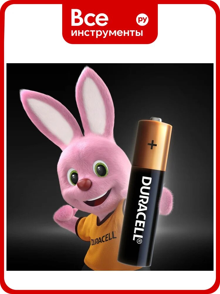 Батарейка LR MN 2400/LR03 Basic BP2 2шт Duracell 116465 щелочная мизинчиковая батарея длительный срок службы