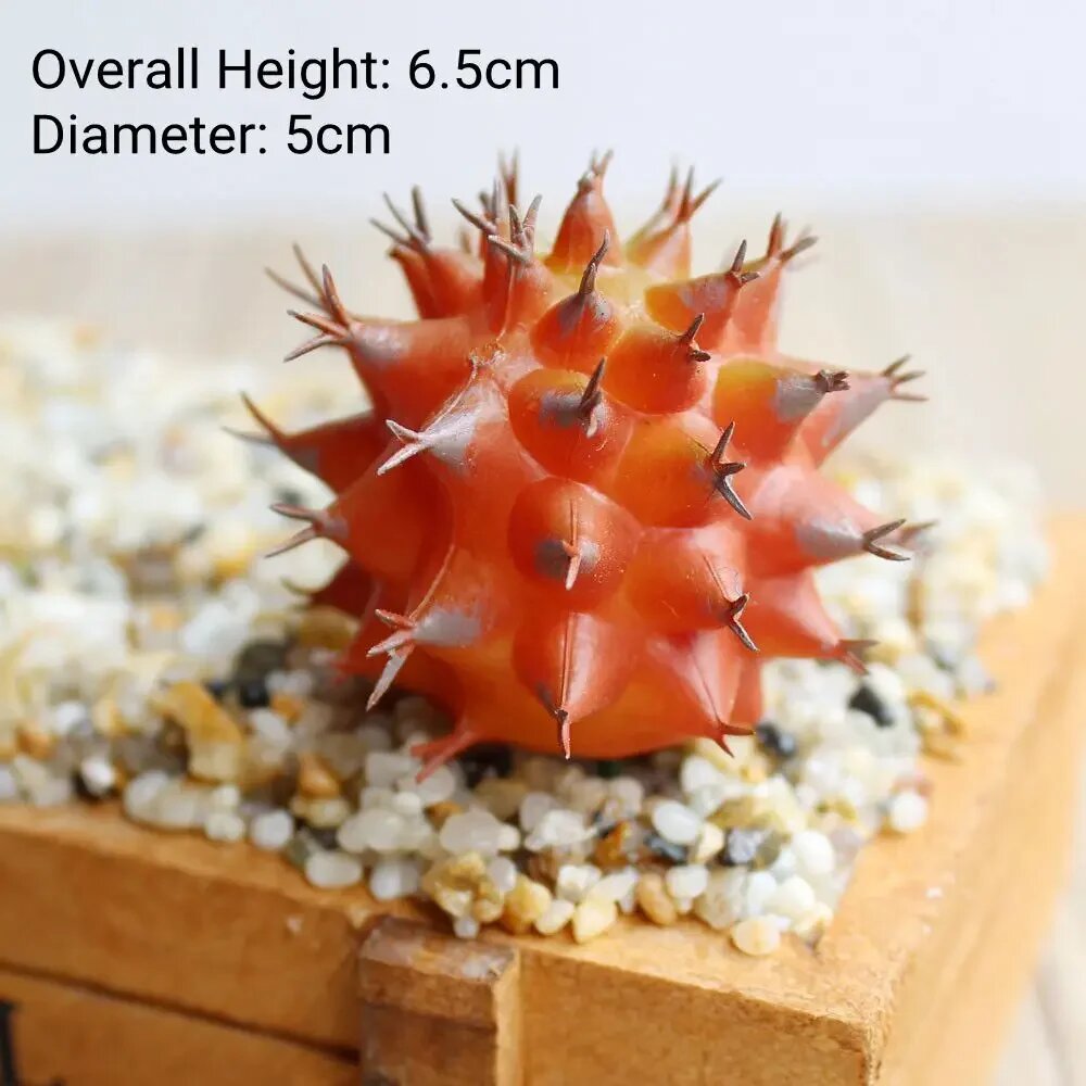 Искусственные красные суккуленты Wusmart bonsai Red Xian Ren Qiu
