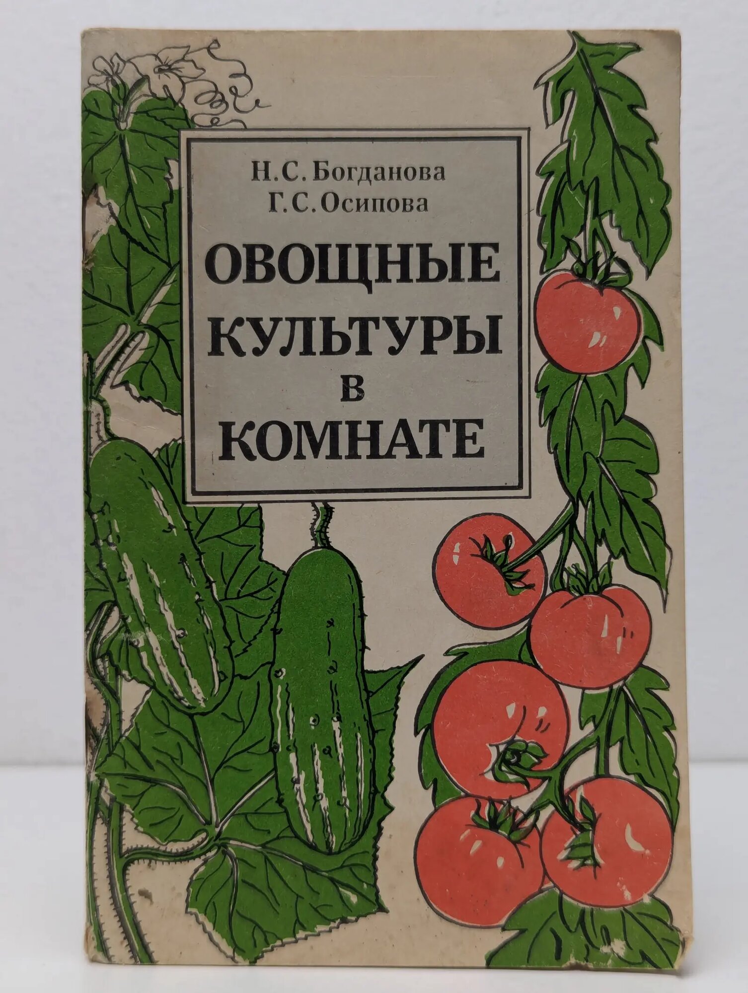 Овощные культуры в комнате Богданова Надежда Сергеевна, Осипова Галина Степановна 1988
