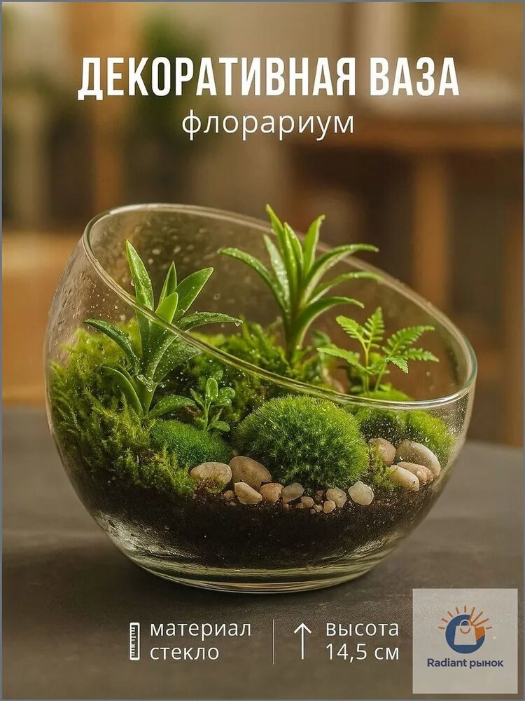 Ваза стеклянная "Анабель", прозрачная, 19 см, для флорариума и сухоцветов