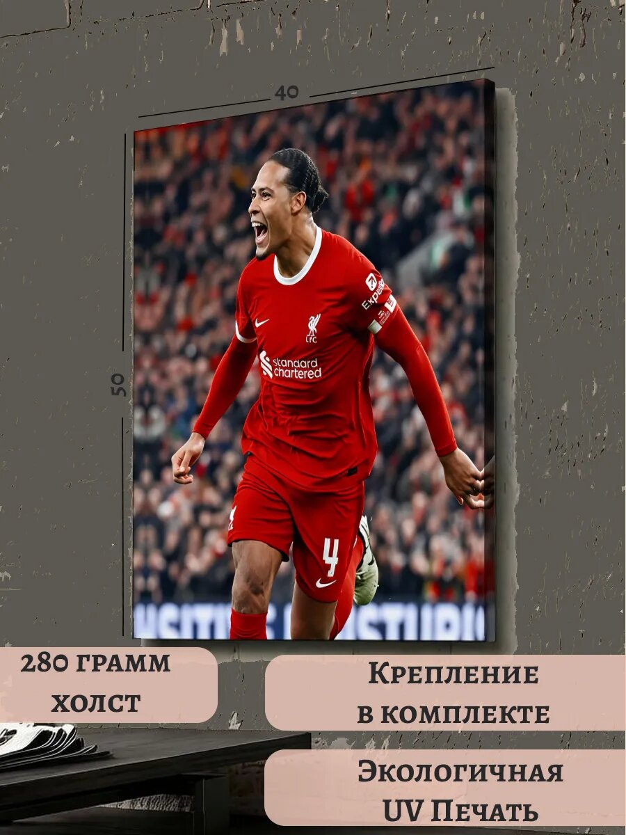 Картина 40х50 Чемпионат мира ЧМ-2026 Ван Дейк Футболист