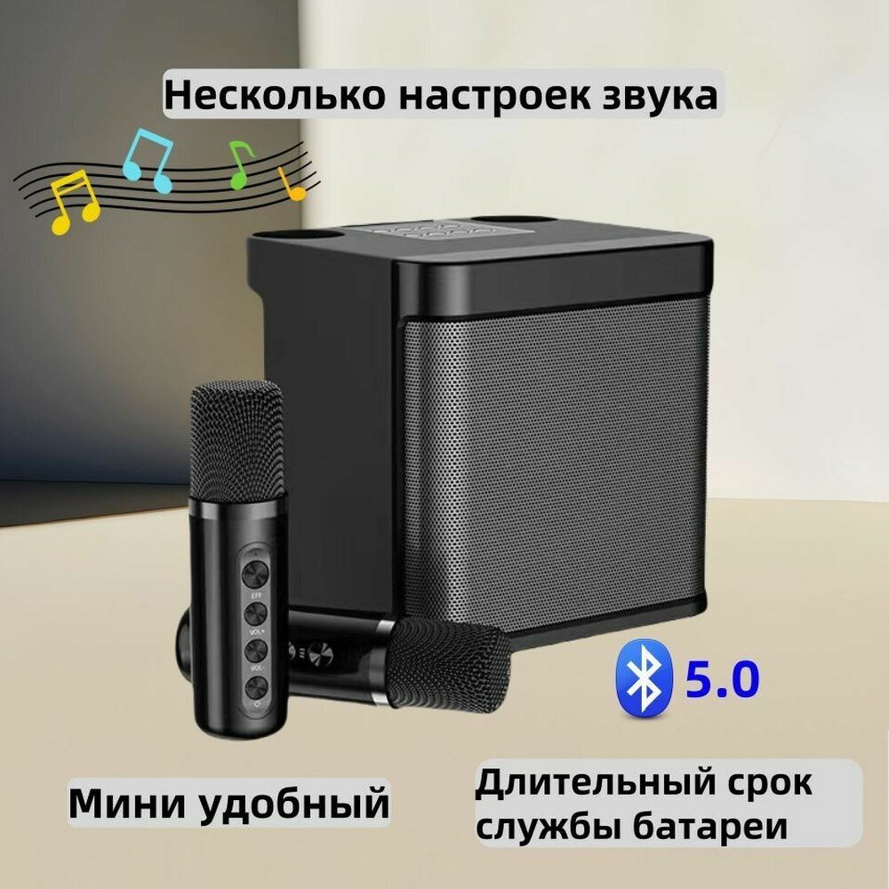 Караоке-система Караоке система для дома с двумя микрофонами