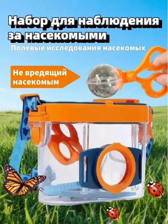 Набор для изучения насекомых
