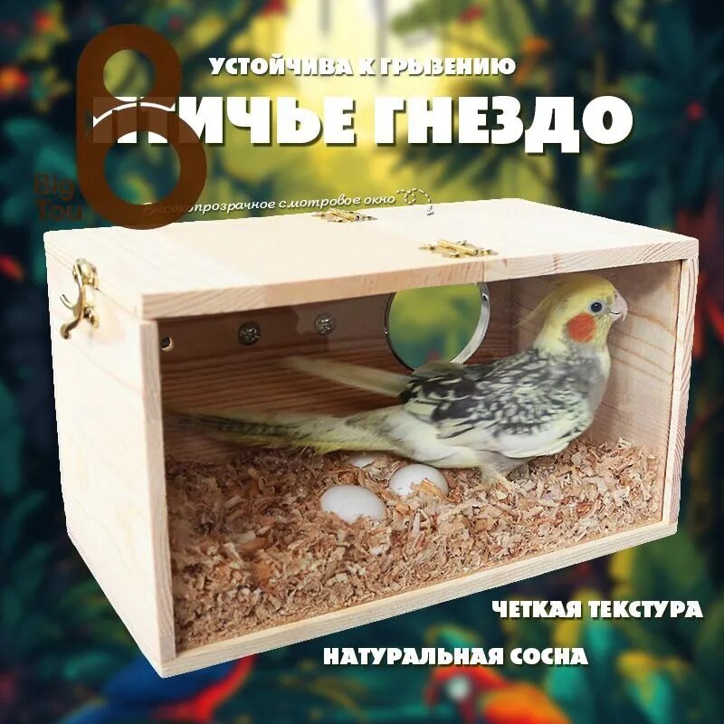 Прозрачный птичий домик из натурального дерева для попугаев-неразлучников