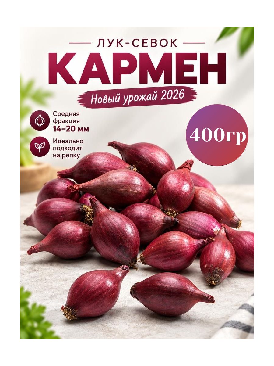 Лук севок Кармен 400грамм