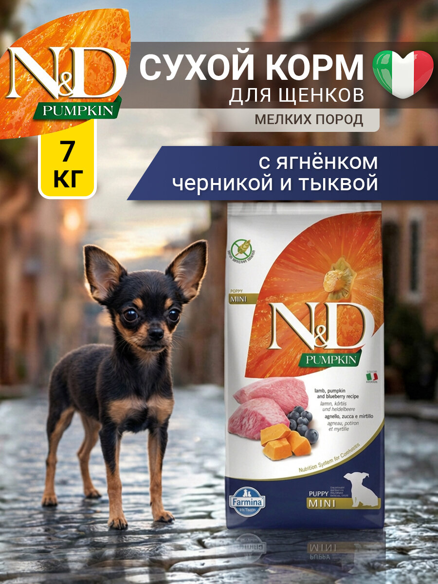 Сухой корм Farmina N&D Pumpkin (Фармина) для щенков, беременных и кормящих сук мелких пород ягнёнок с черникой, 7 кг