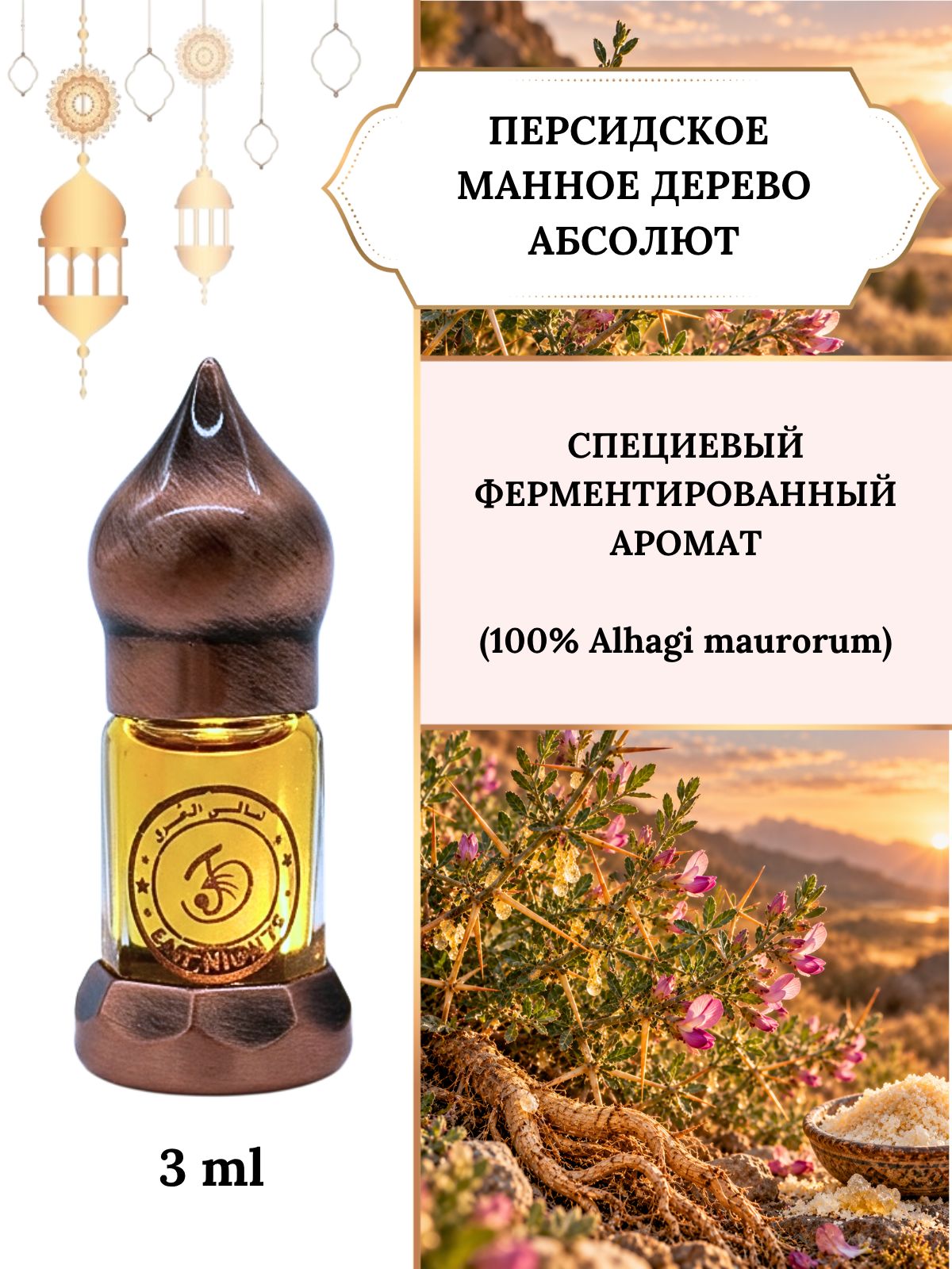 Манное парфянское дерево абсолют Salman Charkeh