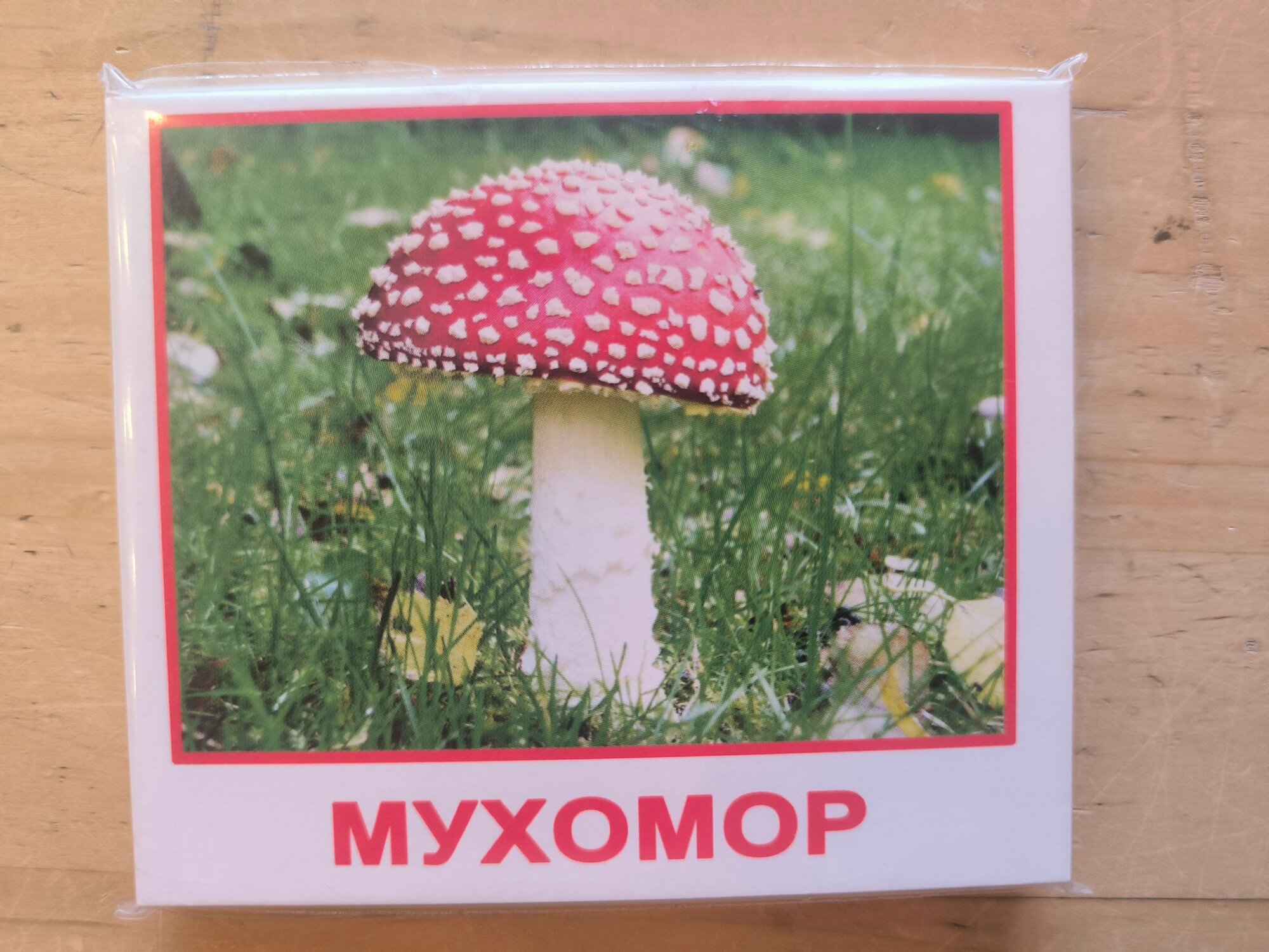 Карточки Домана. Грибы (20 карточек, 98*83мм).