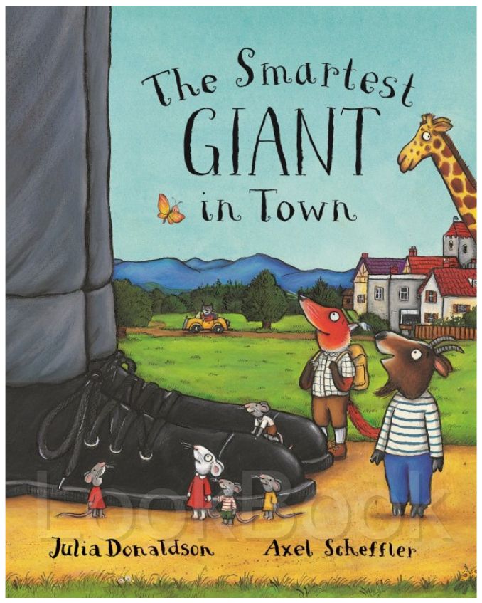 Julia Donaldson Book / Дональдсон Джулия книга на английском языке Сказки для детей иллюстрации Шеффлера | Дональдсон Джулия