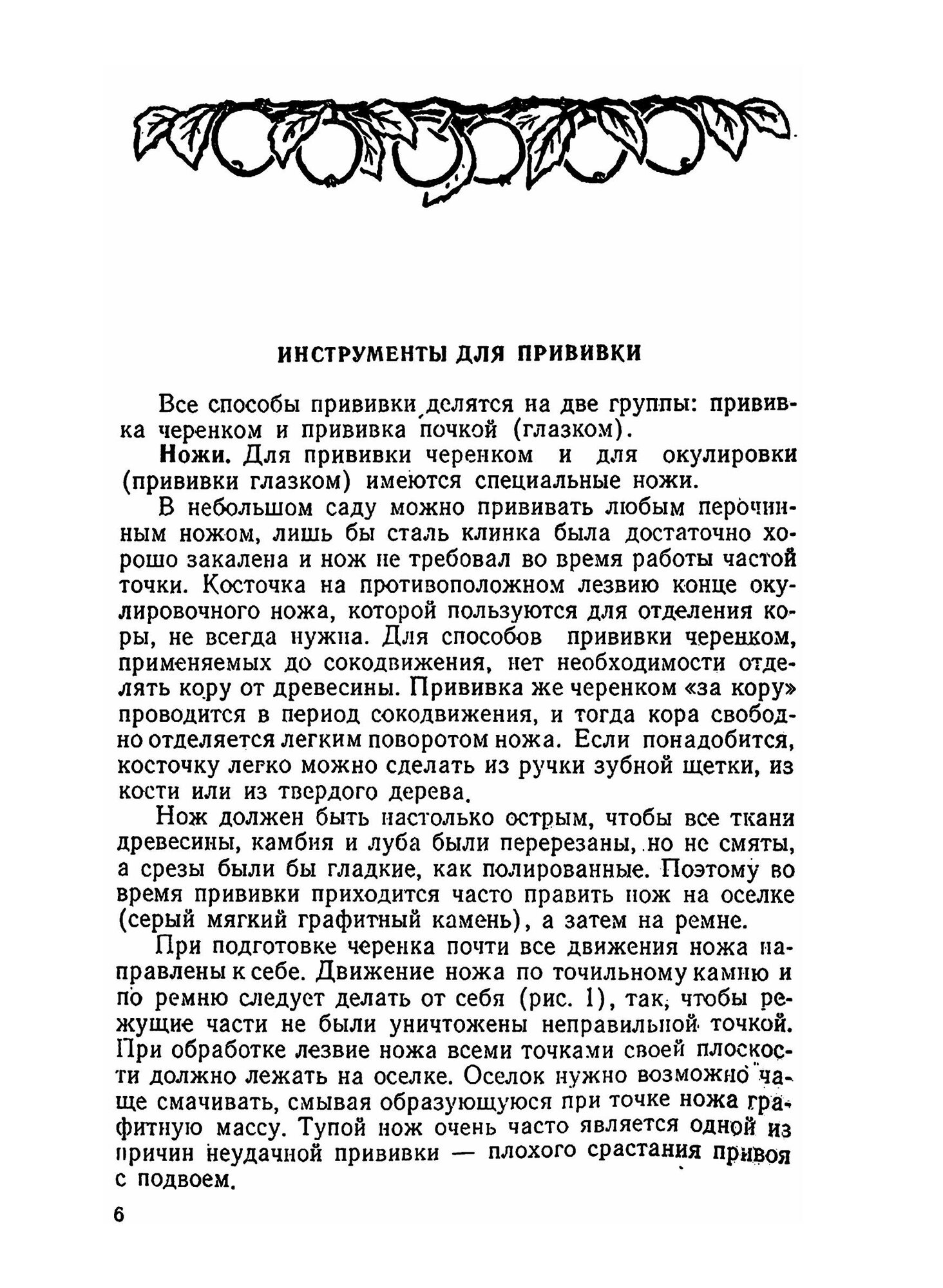 Прививка плодовых деревьев | М. Г. Клеменц | 1958 | Репринт — фото 1