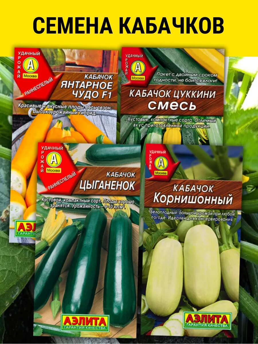 Семена кабачков и цукини