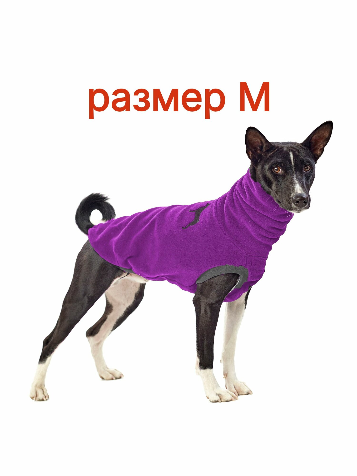 Жилетка из флиса на Басенджи