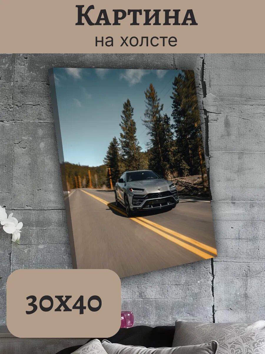Картина Ламборгини Ламба 40x30 urus на дороге