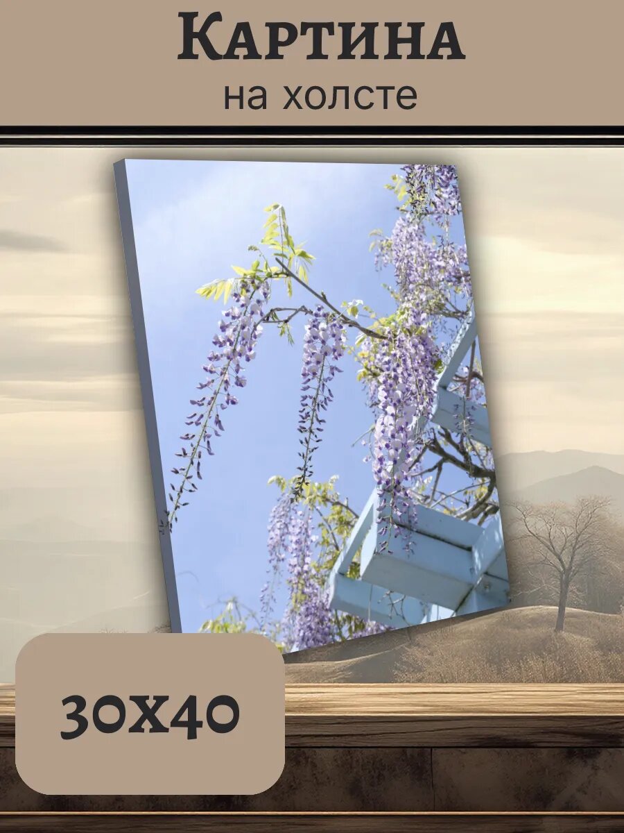 Картина Япония Japan 30x40 цветущая вистерия