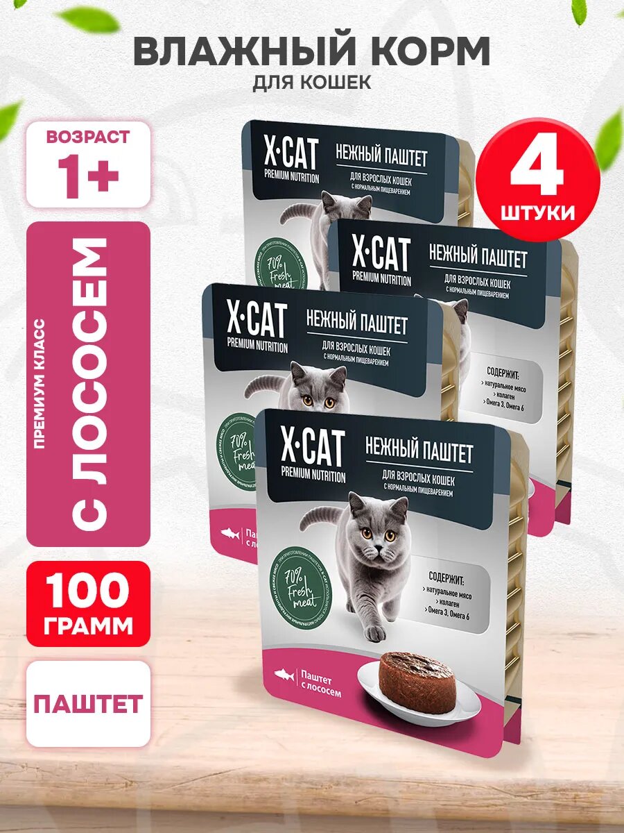 Корм влажный X-Cat для взрослых кошек, паштет, лосось, 100 г 4 шт