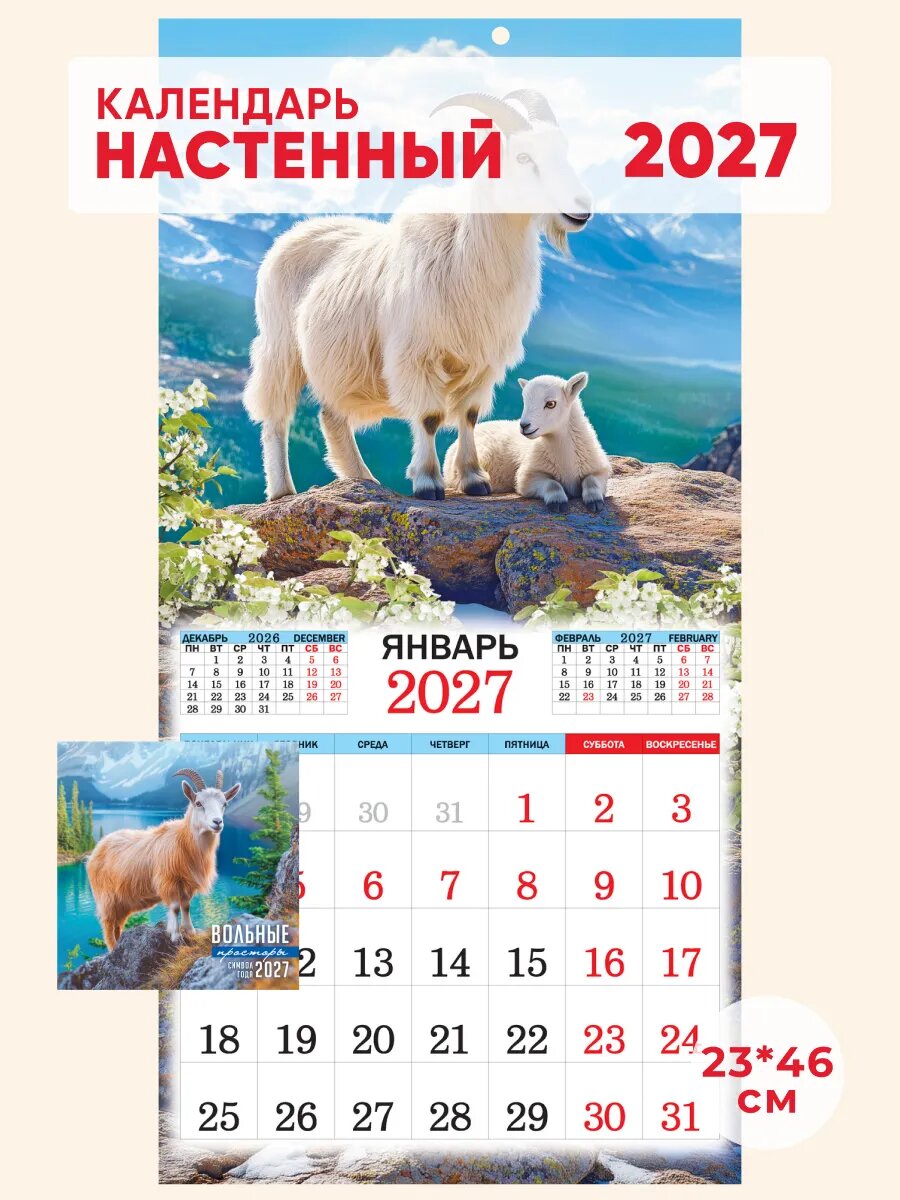 Настенный перекидной календарь на 2027 год, 23*46см.