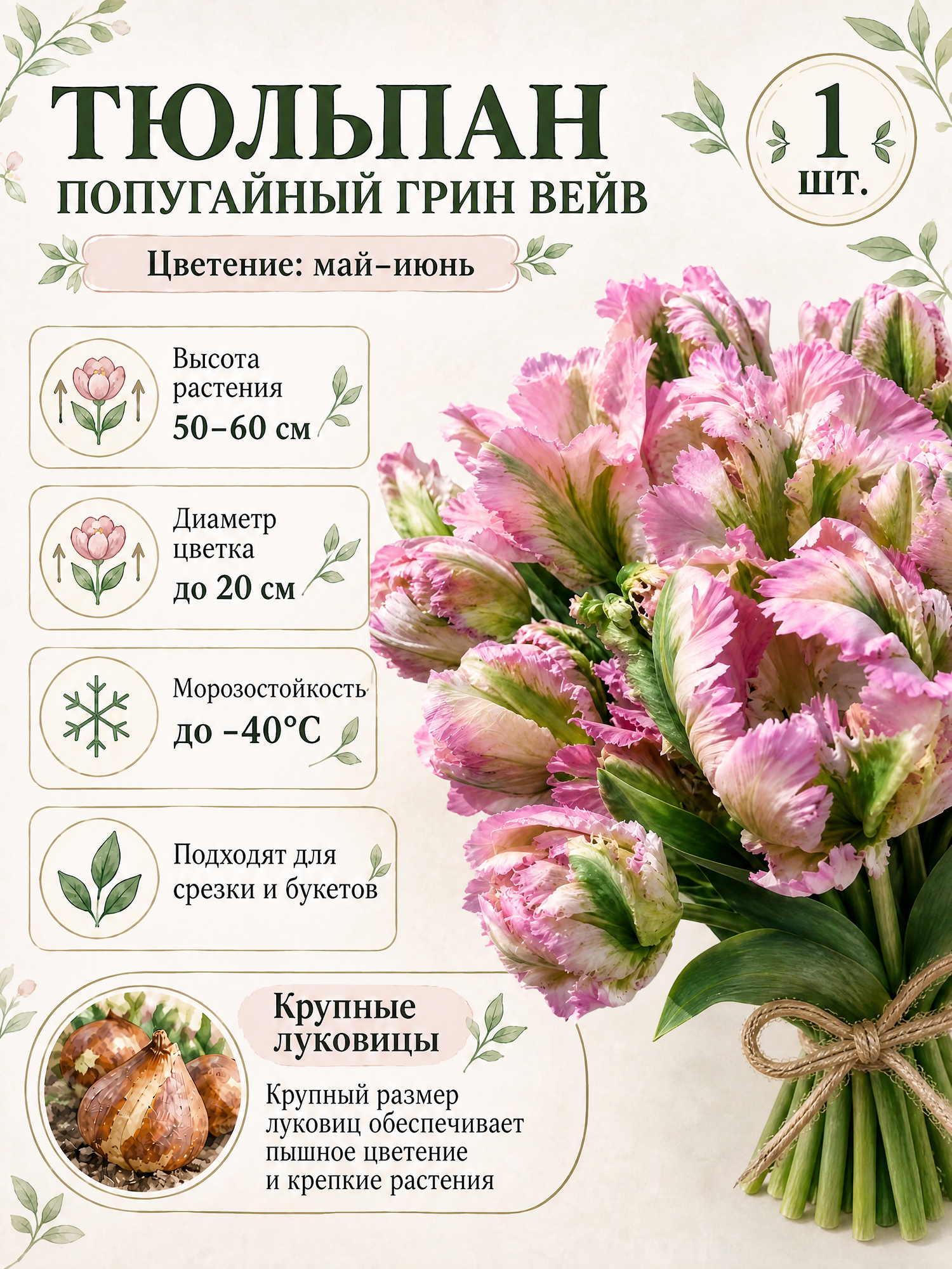 Тюльпан попугайный Грин Вейв, луковицы 1 шт.
