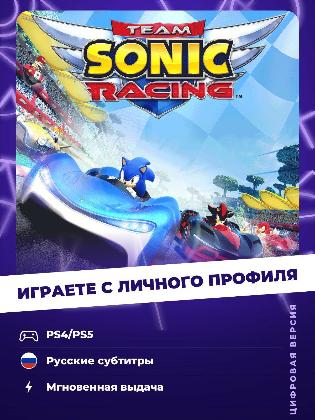 Игра Team Sonic Racing (Standard Edition) для PlayStation 4/5 (PS4/PS5)