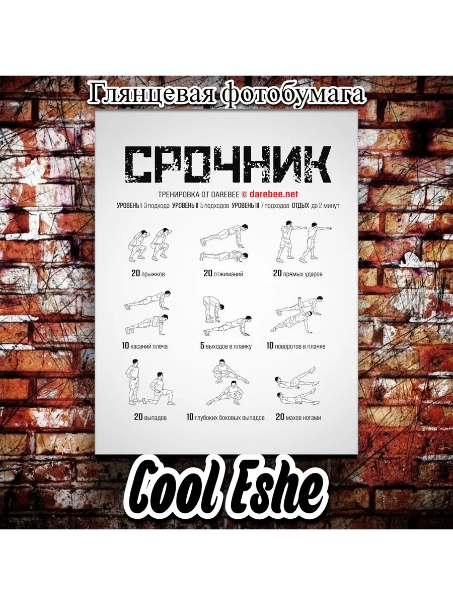 Постер "Тренировка Срочник, упражнения" А4
