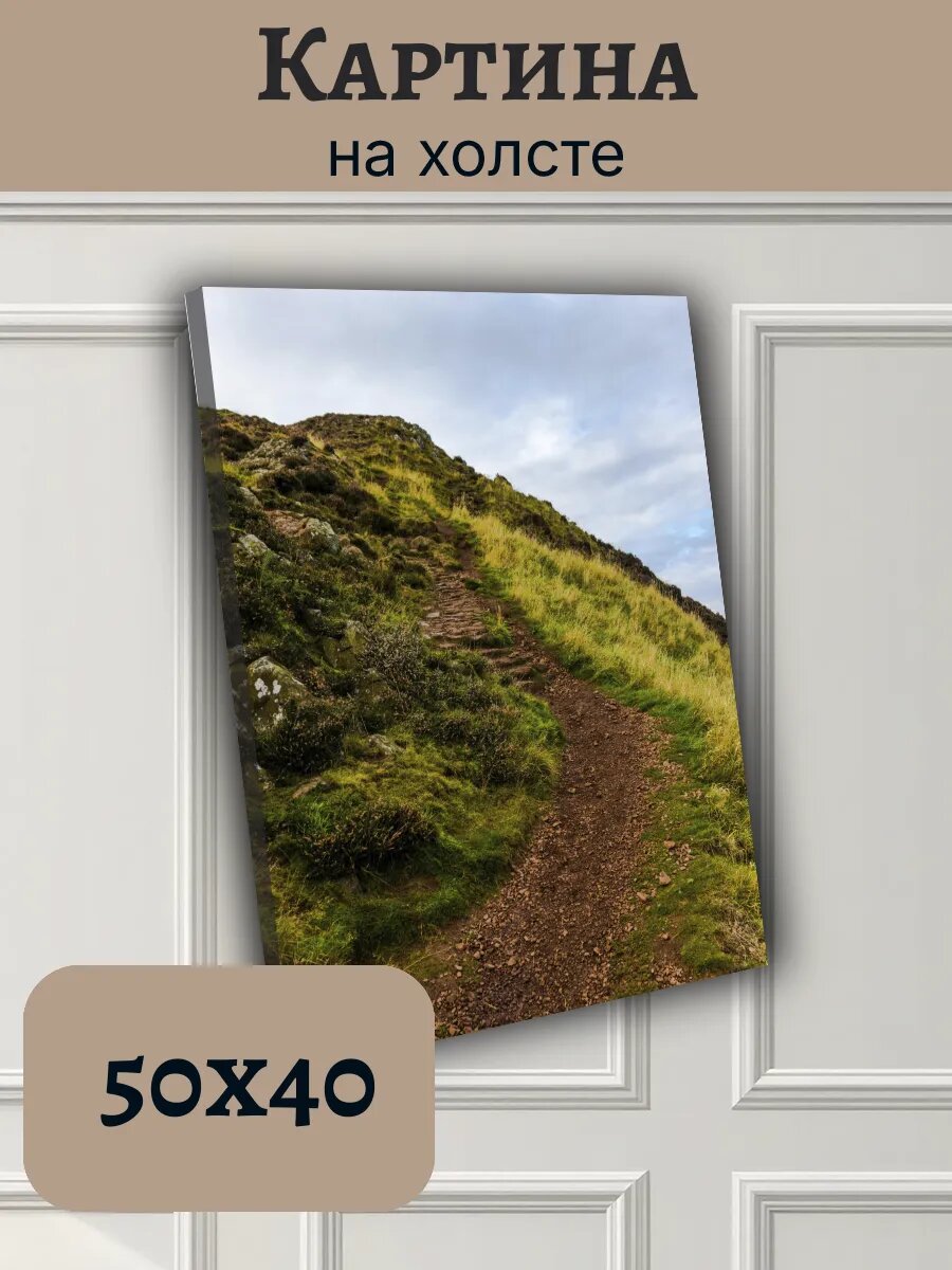 Картина Шотландия Scotland 40x50 горная тропа
