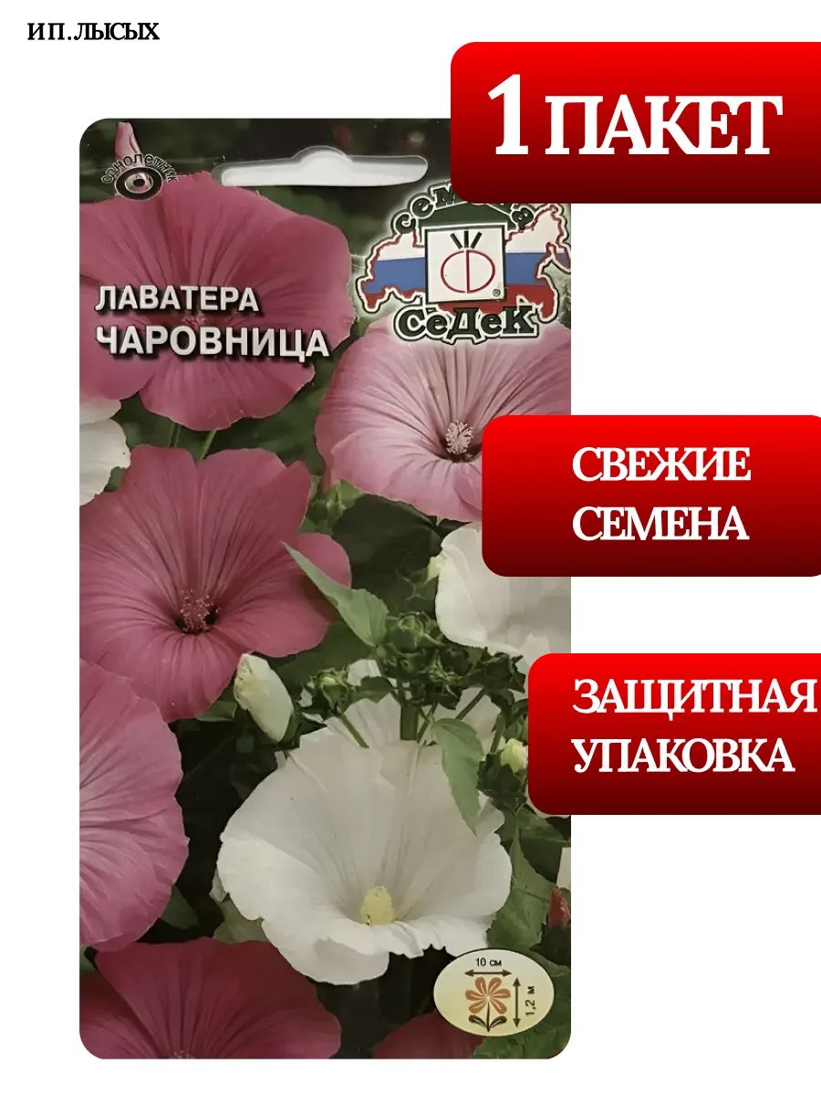 Семена Лаватера "Чаровница"