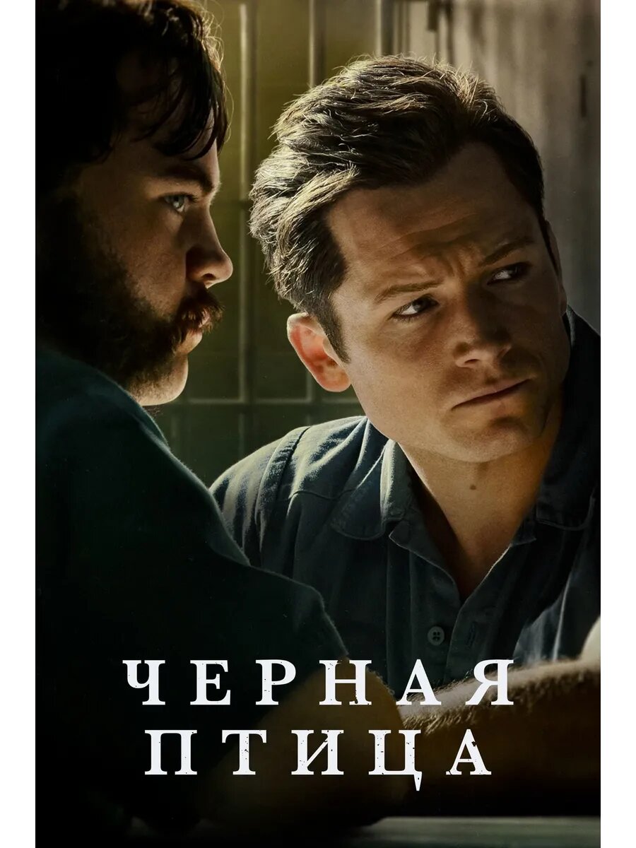 Чёрная птица, сезон 1 (DVD-R)
