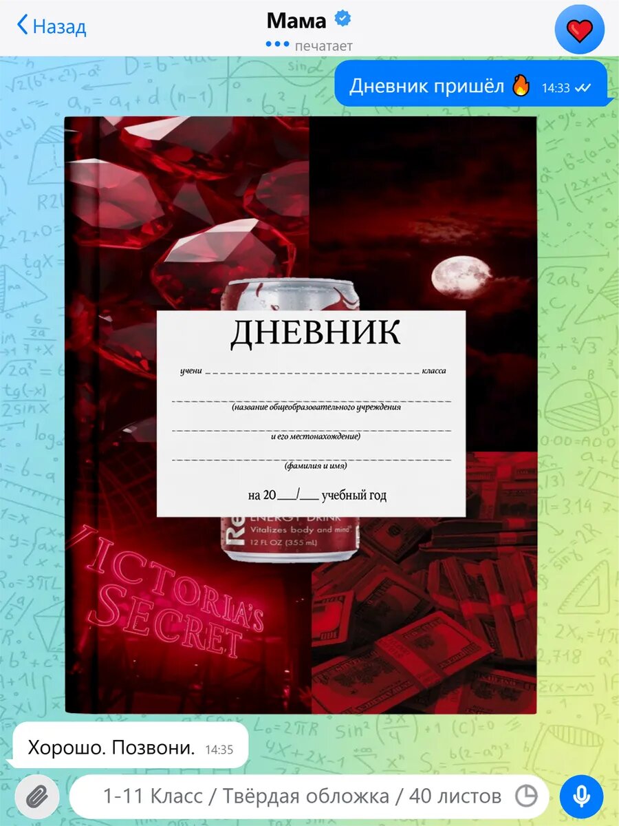 Школьный дневник с принтом Роблокс
