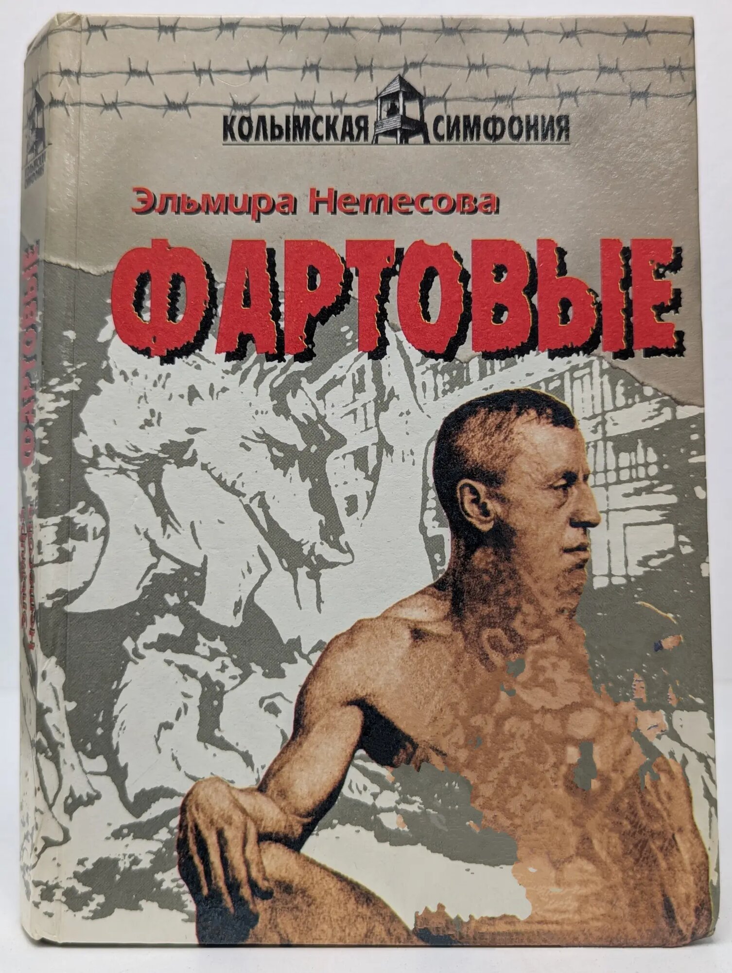 Колымская симфония. Фартовые Нетесова Эльмира Анатольевна 1997