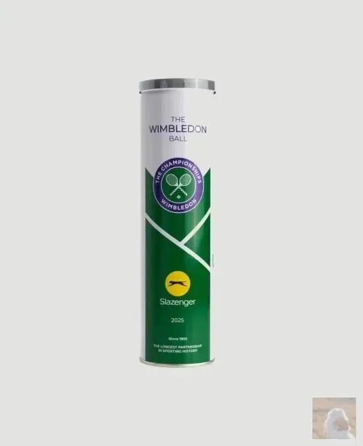 Slazenger Мяч теннисный, 4 шт