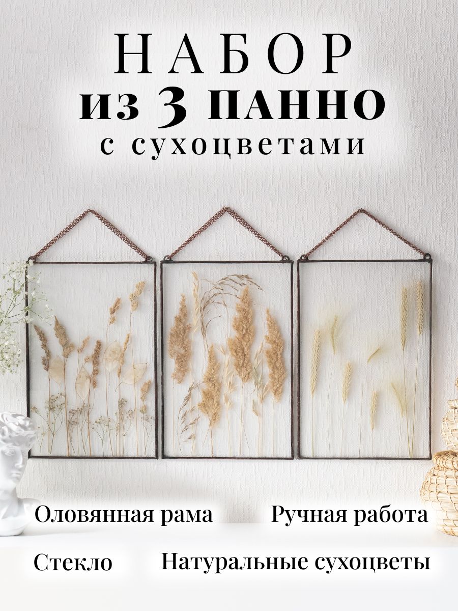 Панно из 3 картин на стену коричневая рама с настоящими сухоцветами в бежевых оттенках "Forget-me-not" Гербарий в стекле / 20*30 см каждая рама