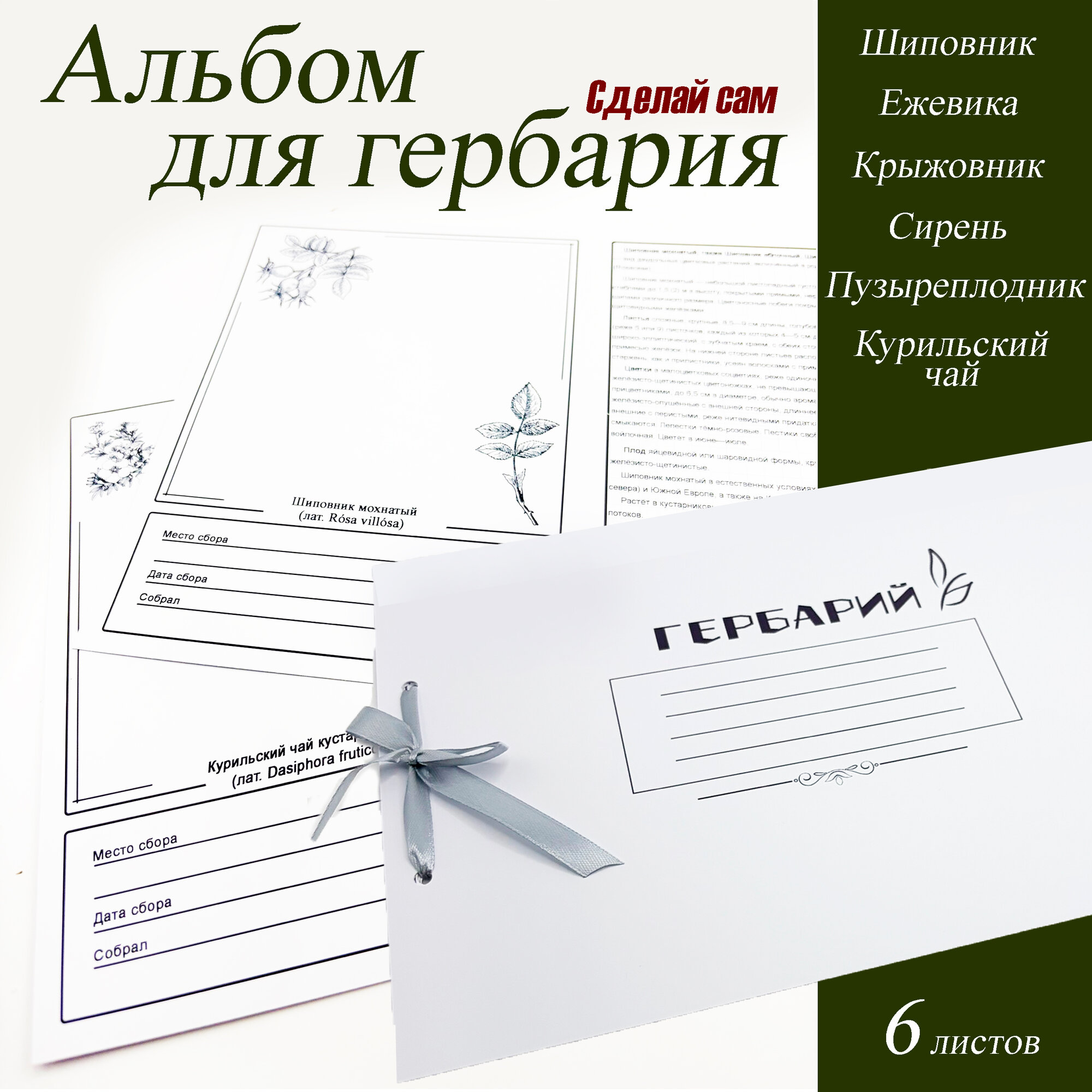 Альбом для гербария "Сделай сам" кустарники