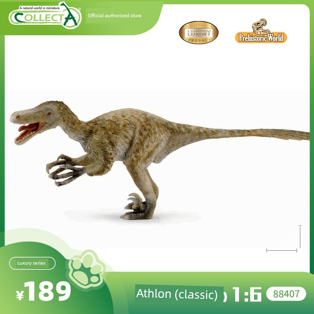 Официальная лицензия CollectA 1:6 масштабная модель Велосираптора для образовательной игры с аутентичными особенностями