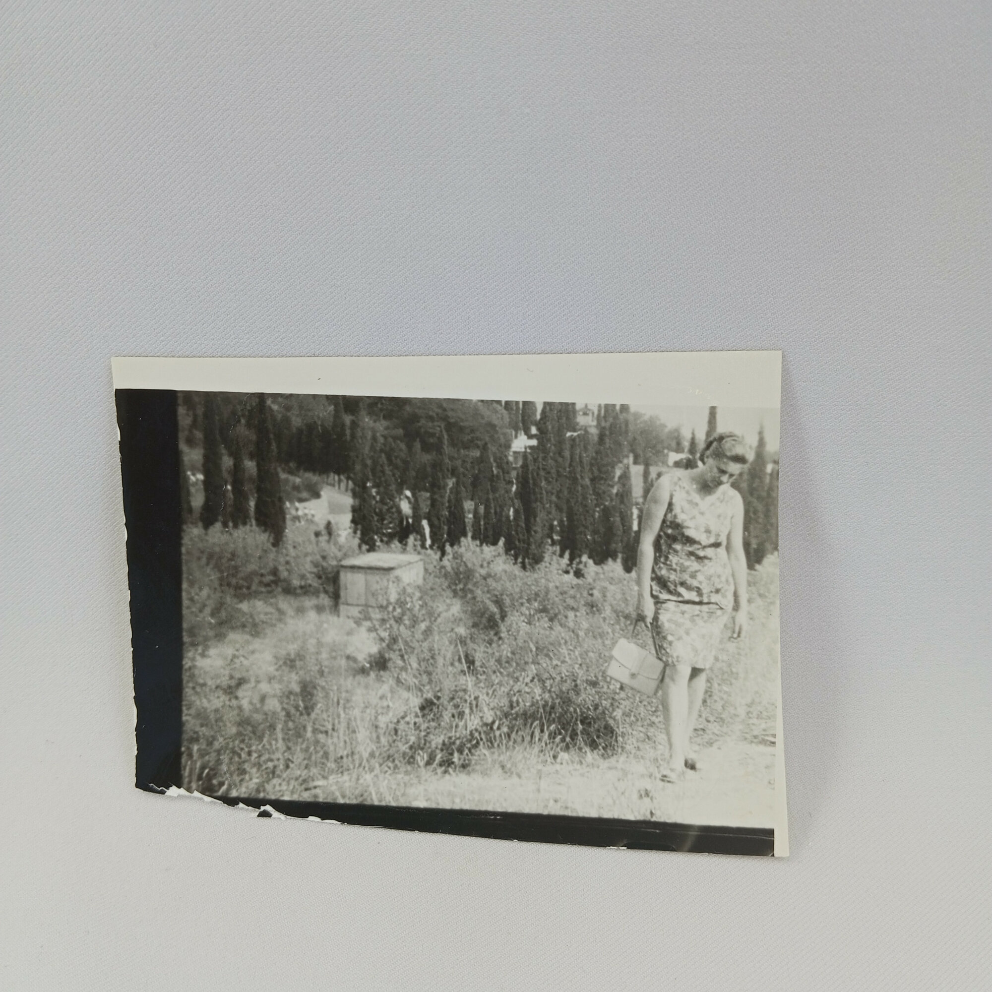 Фотография винтажная, СССР. Чёрно-белый снимок девушки в саду, бумажная печать 1970-х годов