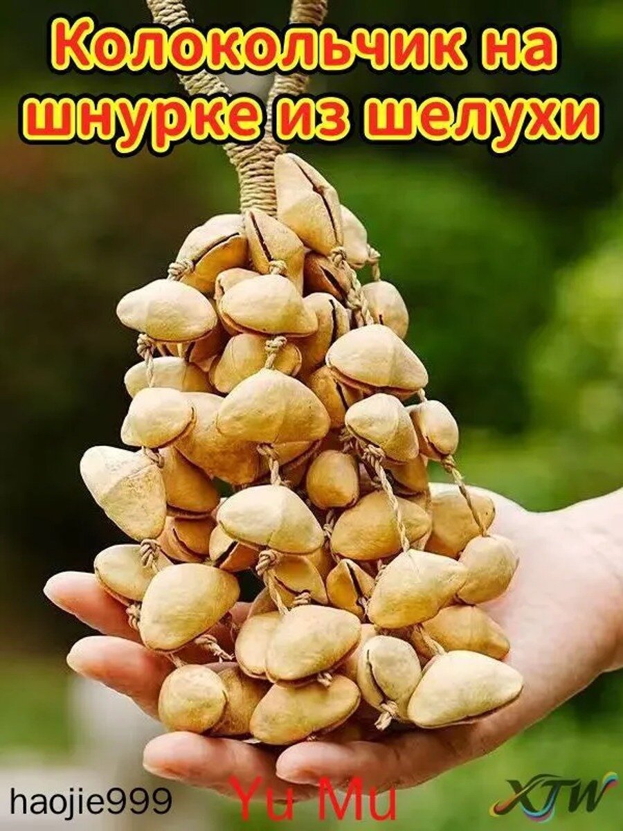 Погремушка из натуральной фруктовой скорлупы, система целебных звуков, ручные часы для сна.