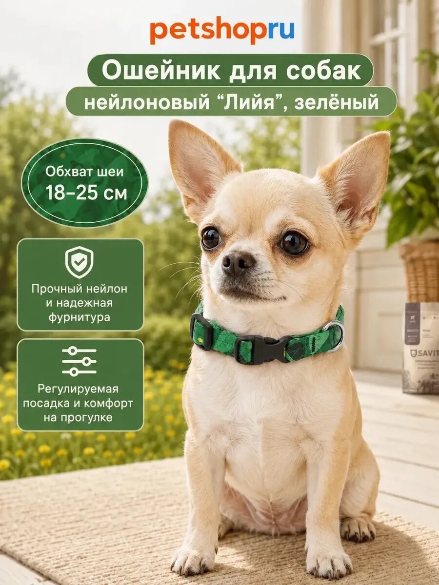 PETSHOP Ошейник для собак нейлоновый "Лийя" 18-25 см зеленый