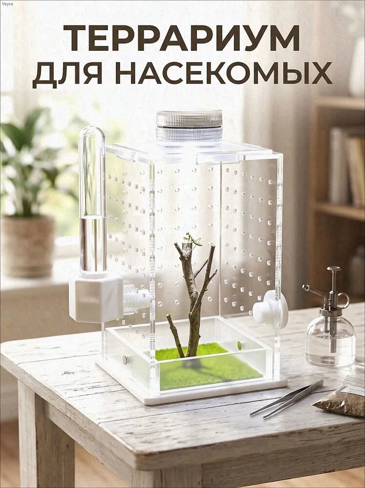 Акриловый ящик для разведения насекомых/ландшафтная вилла богомола