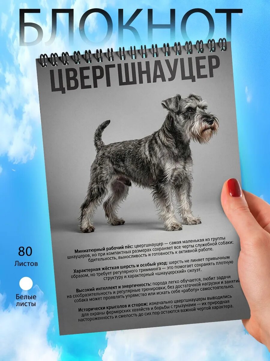 Блокнот А6 - Цвергшнауцер