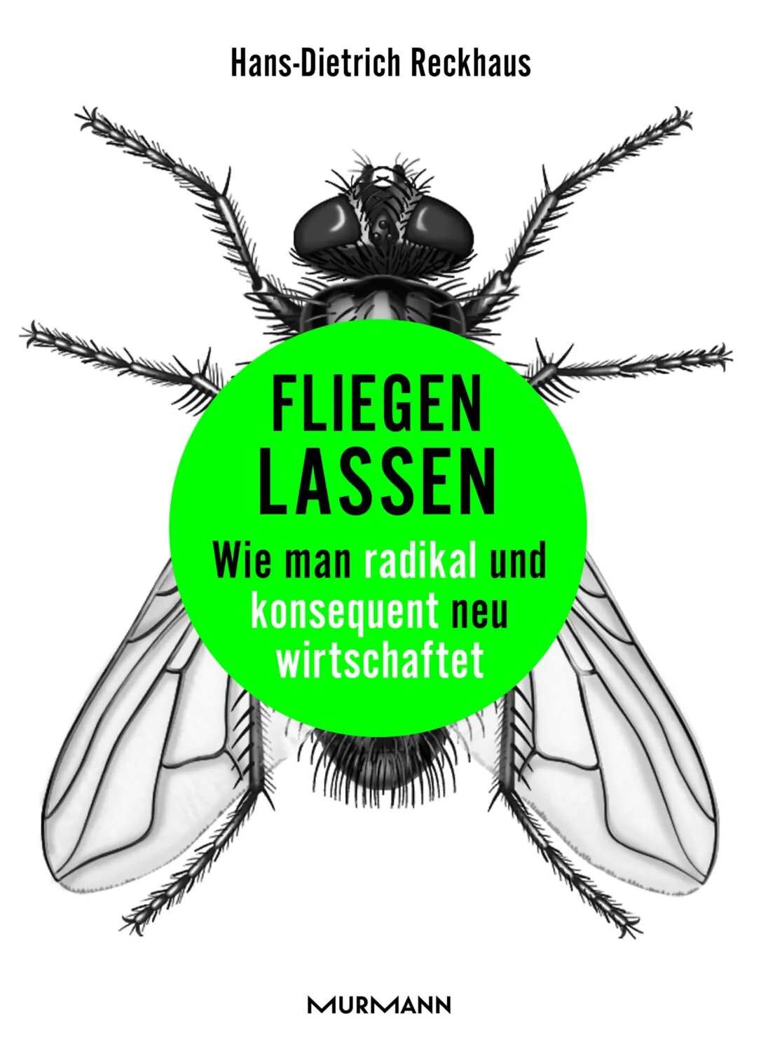 Fliegen lassen [Цифровая книга]